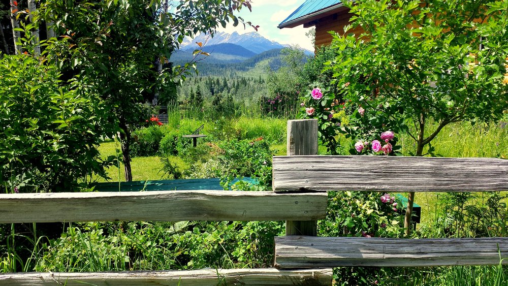 Teepee Meadows - Private Cabins in Valemount